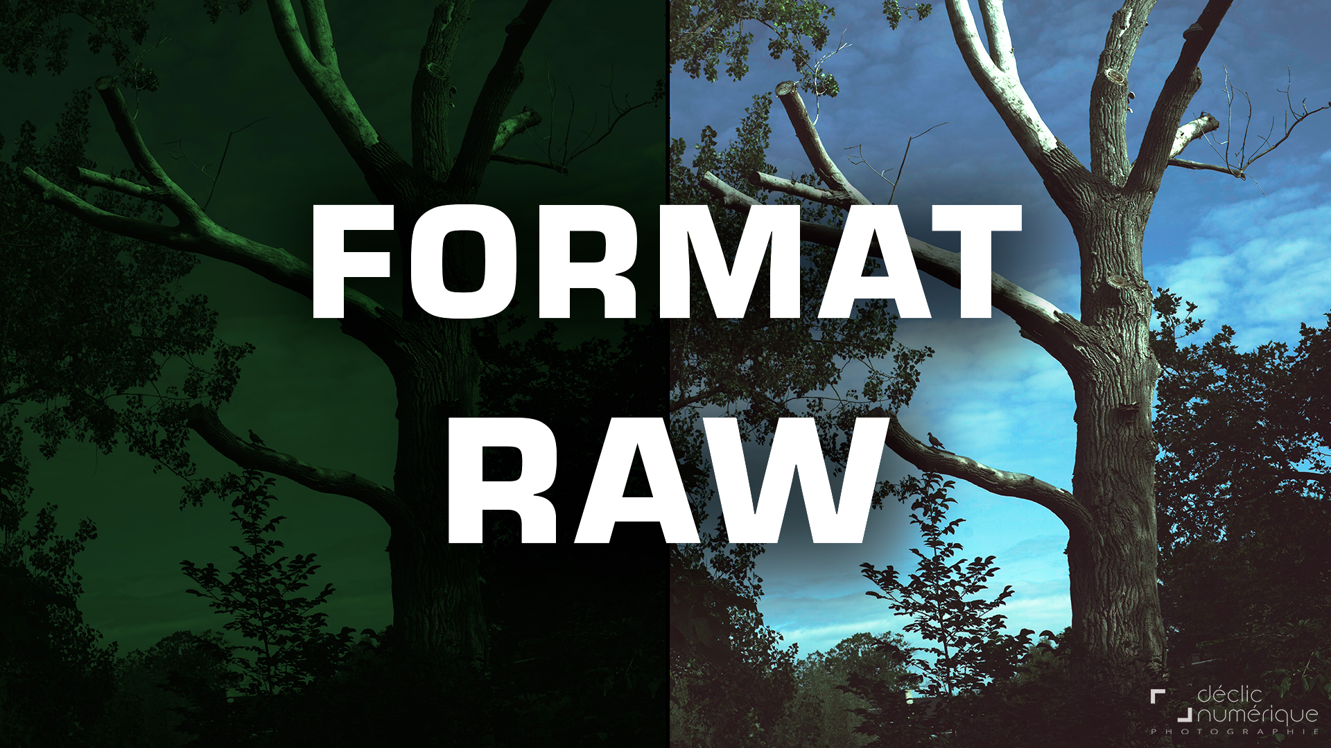 Le format RAW en Photographie | Déclic Numérique - Photographie